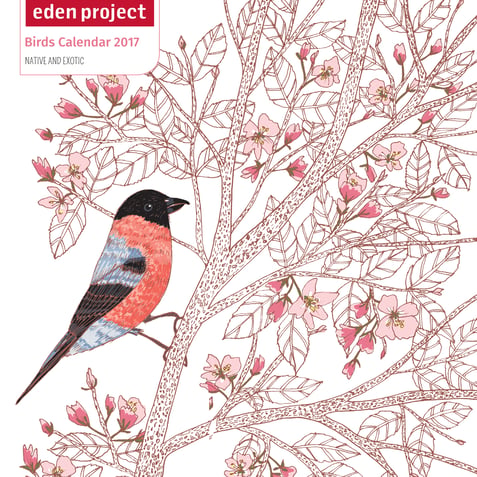 Top 10 Flame Tree Calendars | New Calendars and Diaries | Angie Lewin ...