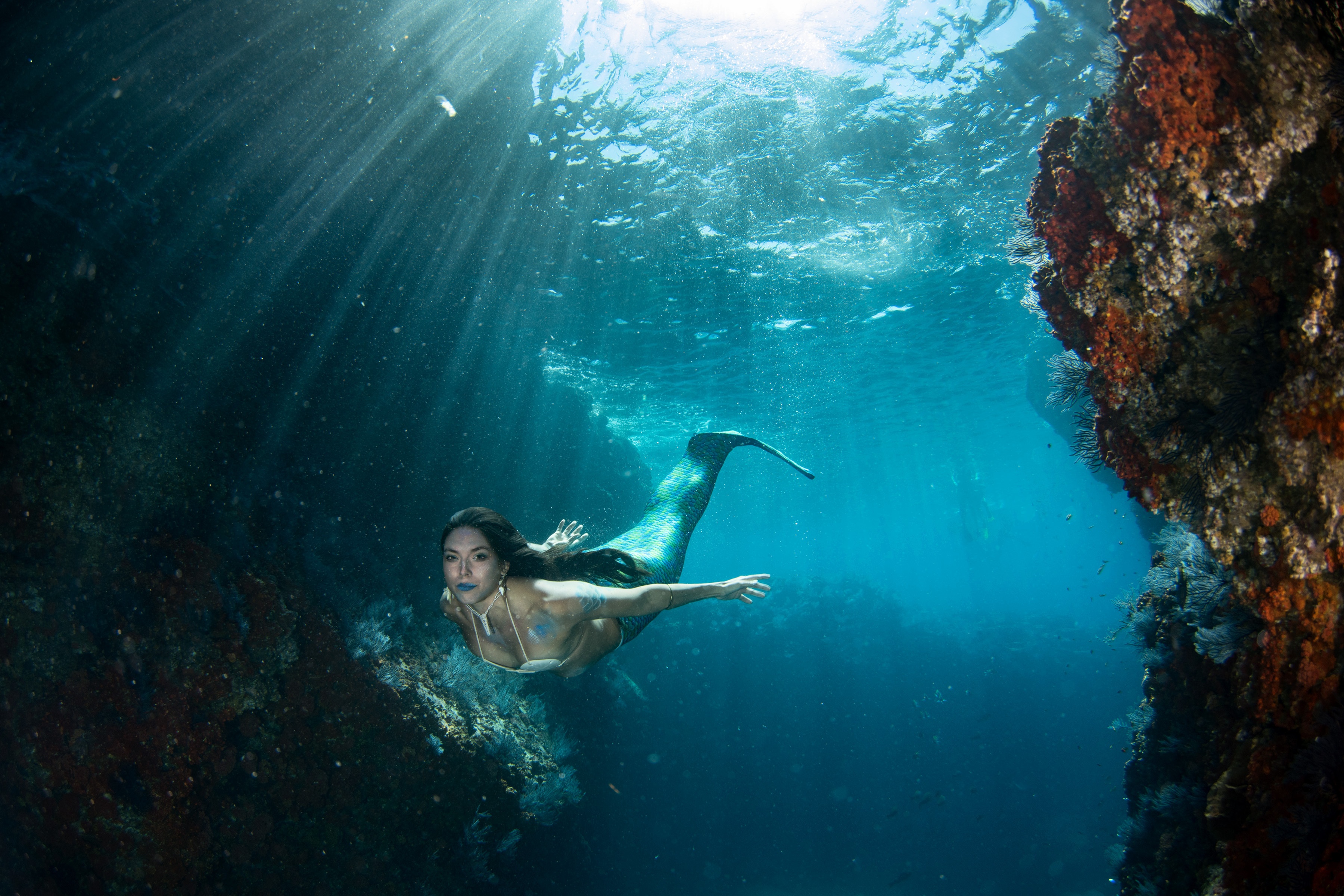 Gothic Dreams: Mermaids Through History