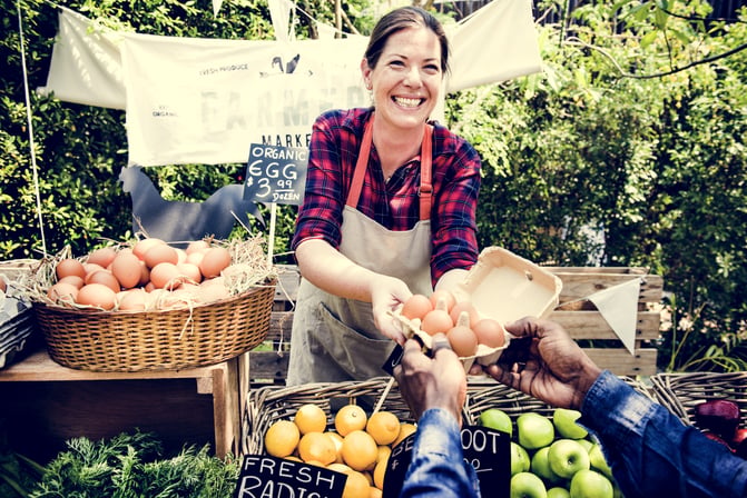 Smallholdings: What are they and where can they lead?